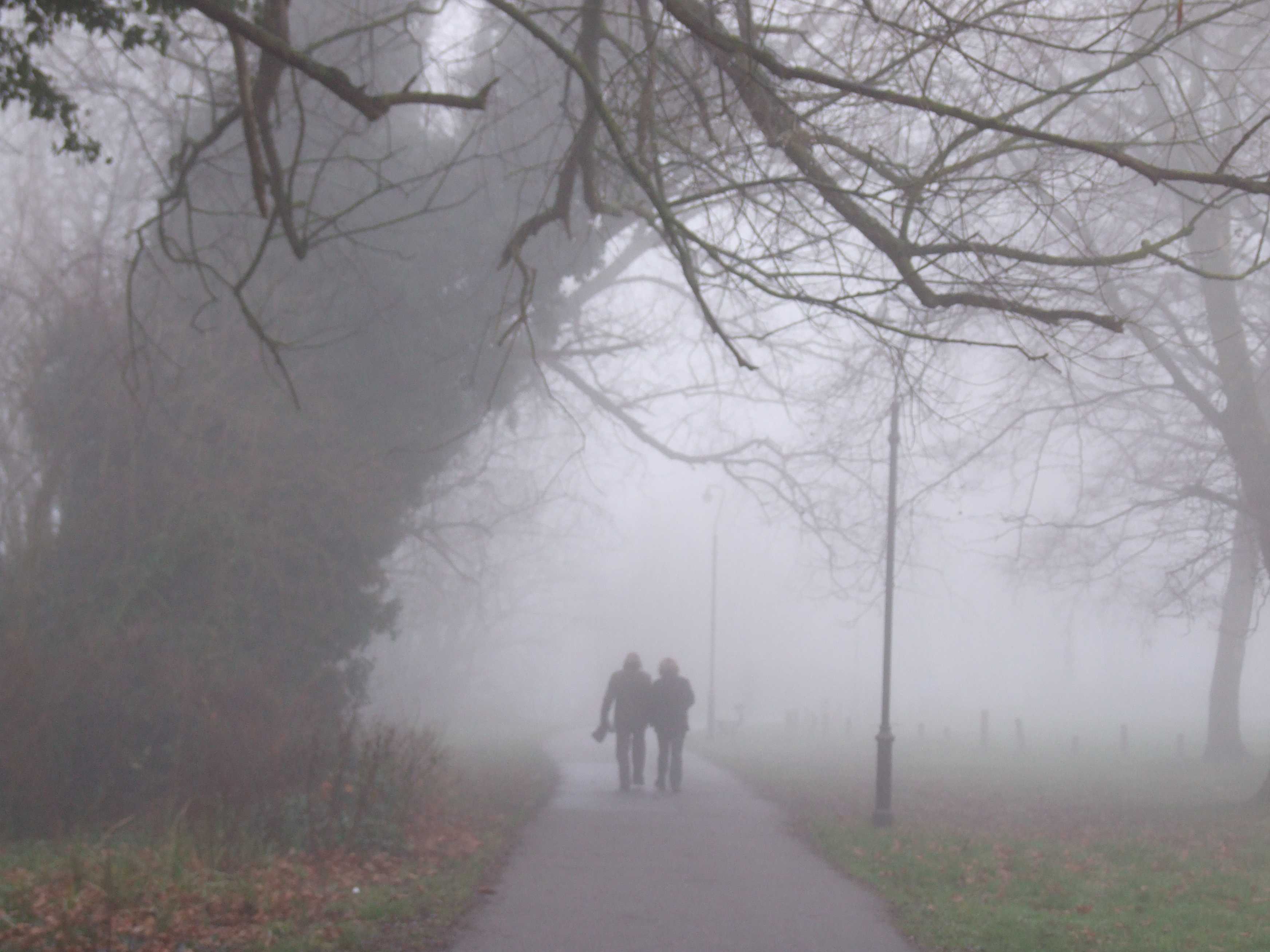 Elevating Fog Definition Und Bedeutung LAVFKM