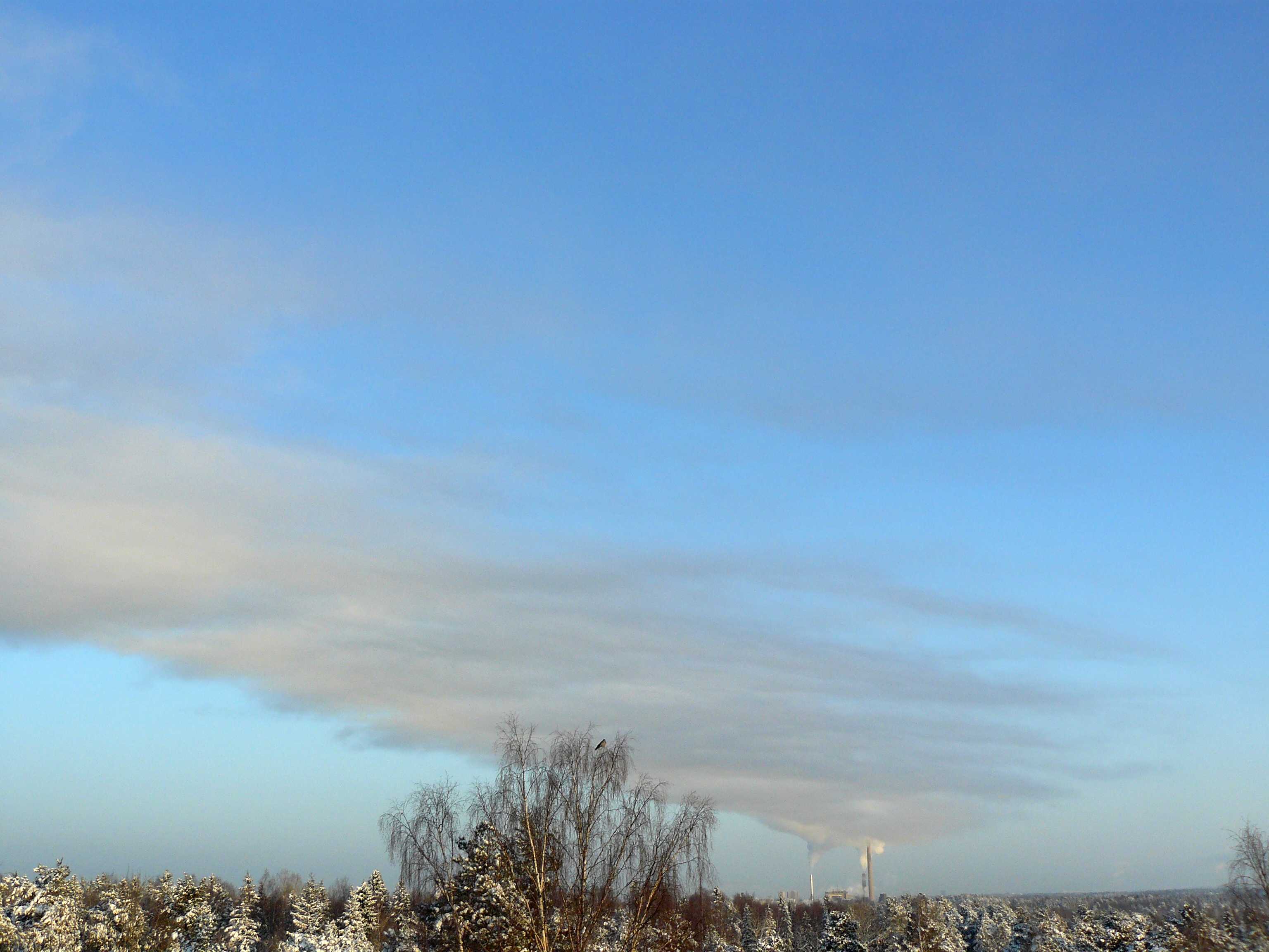 Images & related info Other Images Images of 1987 edition