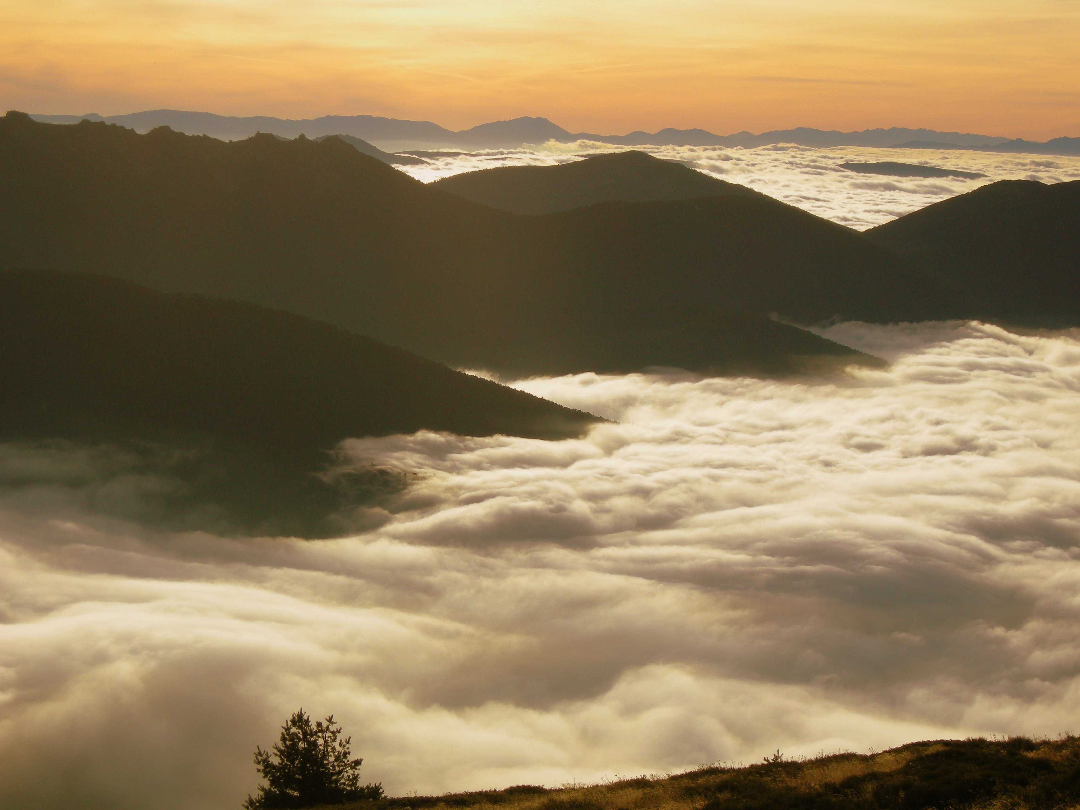 Imágenes e información relacionada Otras imágenes Imágenes de la ...