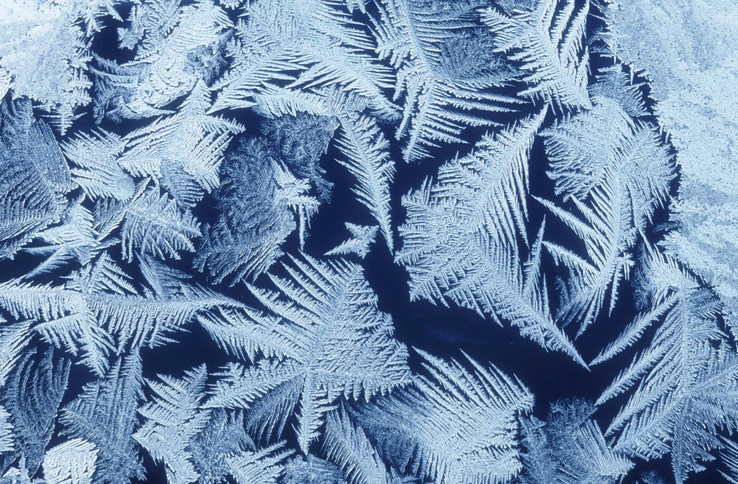 Images & related info Other Images Images of 1987 edition